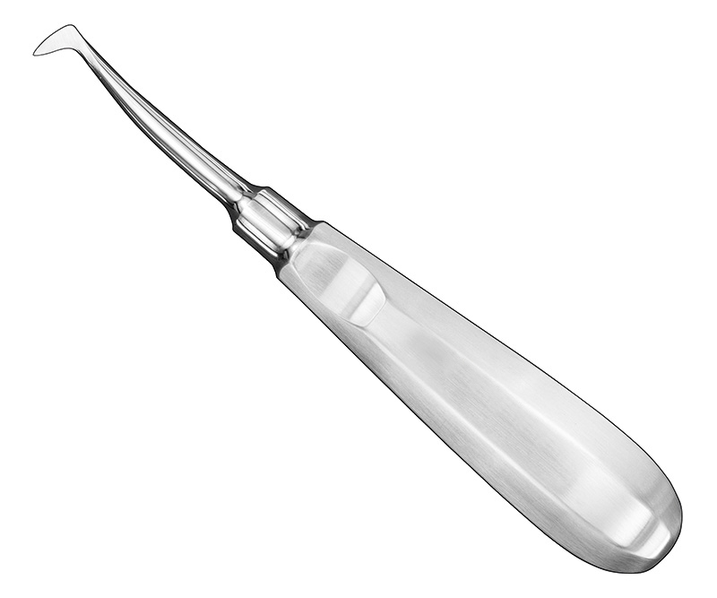 SELDIN 4R, root elevator, angled - Avior Dental